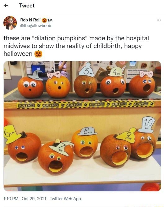 Sometimes art imitates wife. - Tweet Rob N Roll @thegallowboob these ...