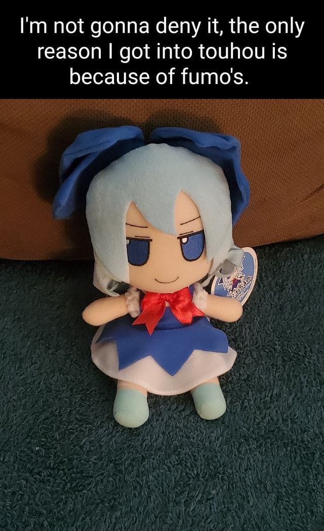 I'm not gonna deny it, the only reason I got into touhou is because of ...