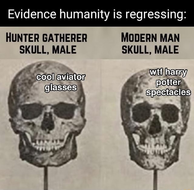 Evidence humanity is regressing: HUNTER GATHERER MODERN MAN SKULL, MALE ...