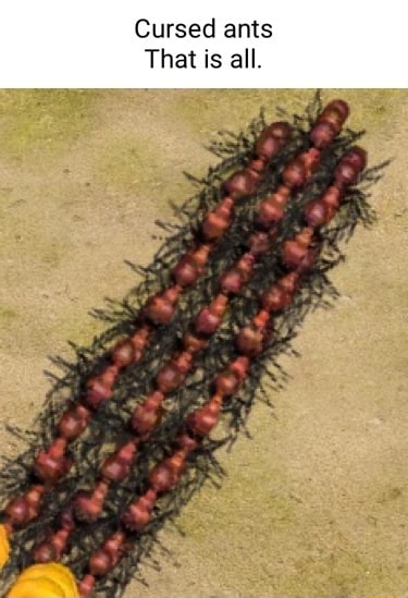Cursed ants That is all. - iFunny