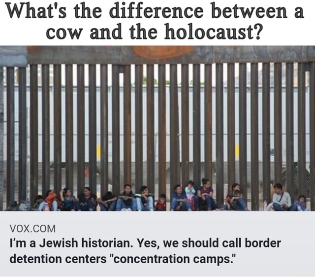 What's the difference between a cow and th holocaust? VOX.COM I'm a ...