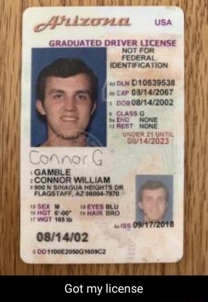 \ Baeisw USA GRADUATED DRIVER LICENSE FEDERAL IDENTIFICATION OLM ...