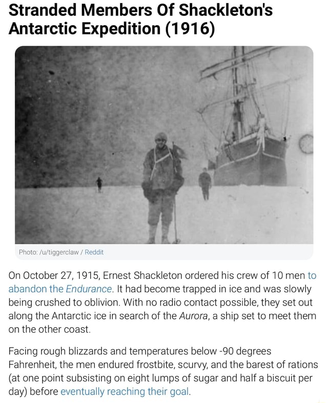 Stranded Members Of Shackleton's Antarctic Expedition (1916) Photo: / Reddit On October 27, 1915 ...