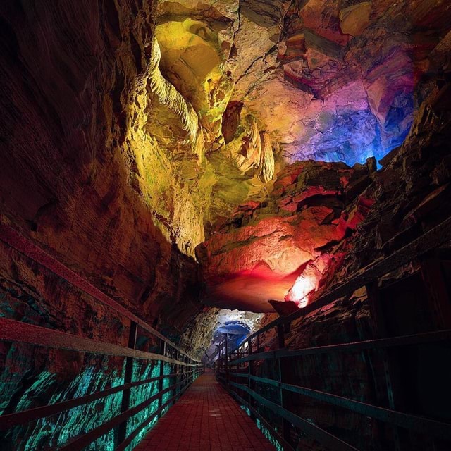 Explore underground caves make new furry friends more with our guide to ...
