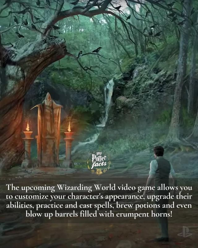 My The upcoming Wizarding World video game allows you to customize your ...