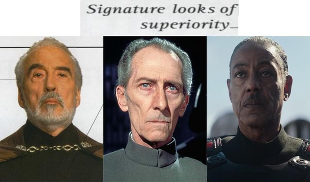Signature looks of superiority - iFunny