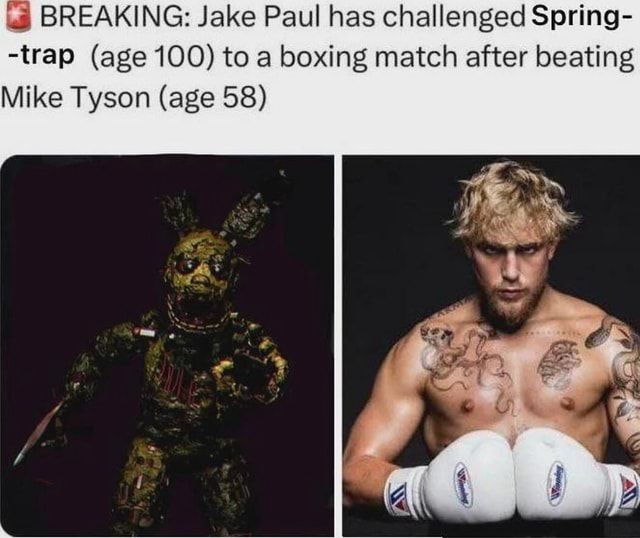 Us BREAKING: Jake Paul has challenged Spring- -trap (age 100) to a ...