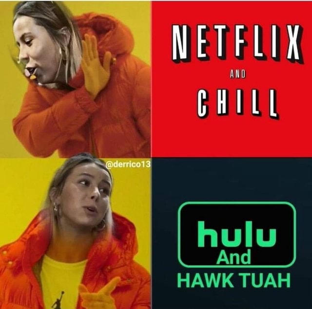 NETFLIX CHILL And HAWK TUAH - America’s best pics and videos