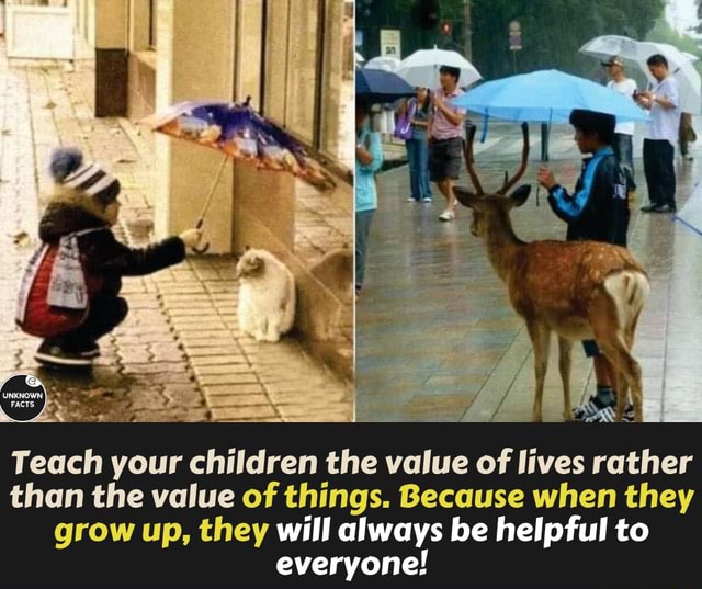 Teach your children the value of lives rather than the value of things ...