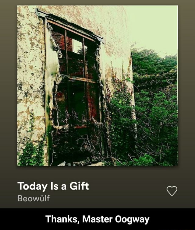 Thanks, Master Oogway - Thanks, Master Oogway - iFunny