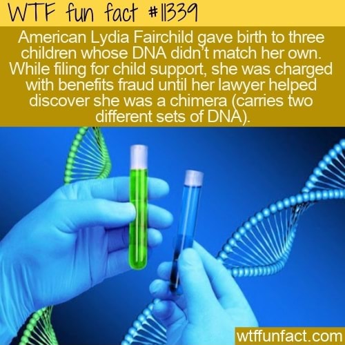 Fun American Lydia Fairchild gave birth to three children whose DNA ...
