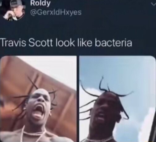 Roldy Travis Scott look like bacteria - iFunny Roldy Travis Scott look like bacteria - iFunny