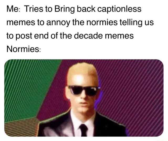 Me: Tries to Bring back captionless memes to annoy the normies telling ...