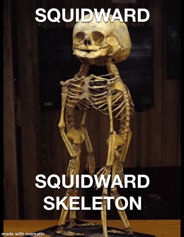 SQUIDWARD TON SQUIDWARD SKELETON - iFunny