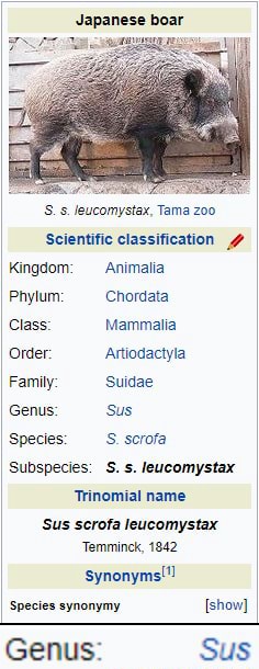 Japanese boar S. leucomystax, Tama 200 Scientific classification ...