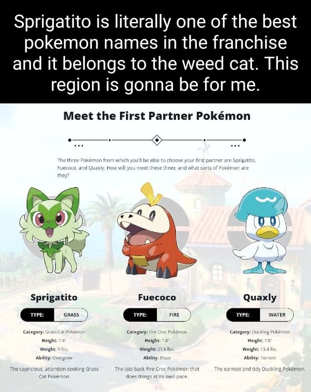 Sprigatito is literally one of the best pokemon names in the franchise ...