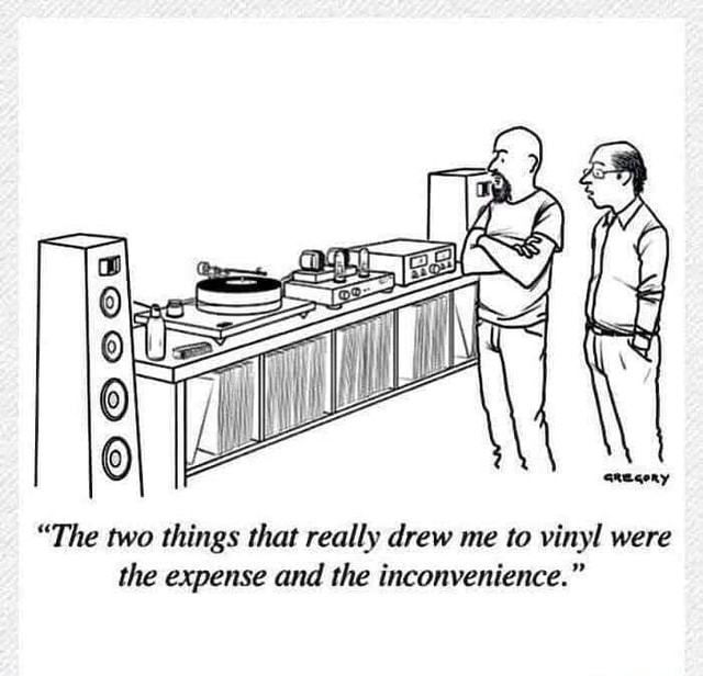 "The two things that really drew me to vinyl were the expense and the ...