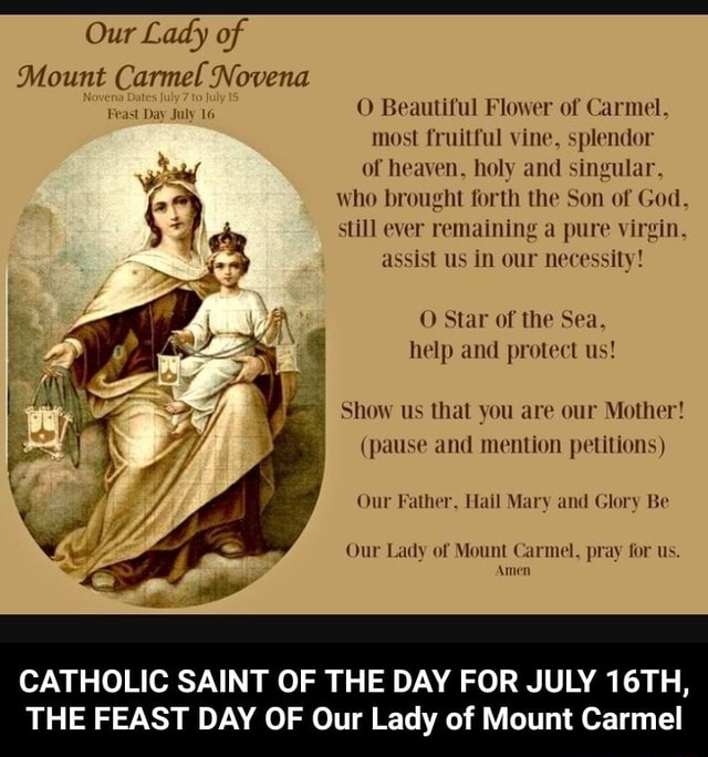 Our Lady of Mount Carmel Novena Feast Day July 16 O Beautiful Flower of ...