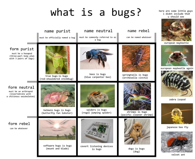 What is a bugs alignment chart - what is a bugs alignment chart what is ...