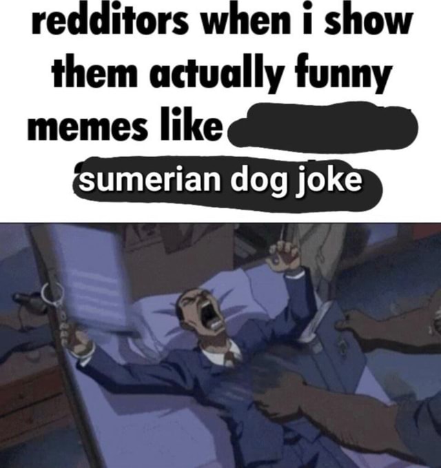 Aaitors when I show them actually funny memes like sumerian dog joke ...