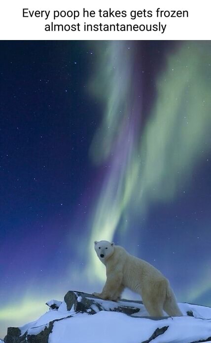 Every poop he takes gets frozen almost instantaneously - iFunny