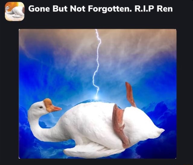 Fat Gone But Not Forgotten. R.I.P Ren - iFunny