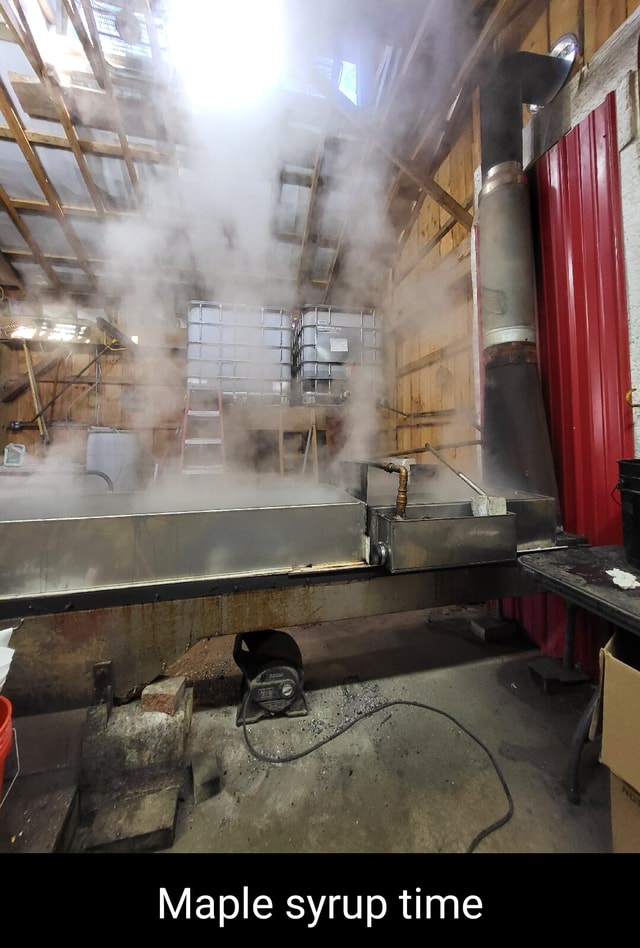 Maple syrup time - iFunny