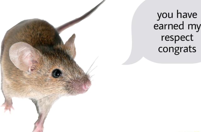 You have earned my respect congrats - iFunny