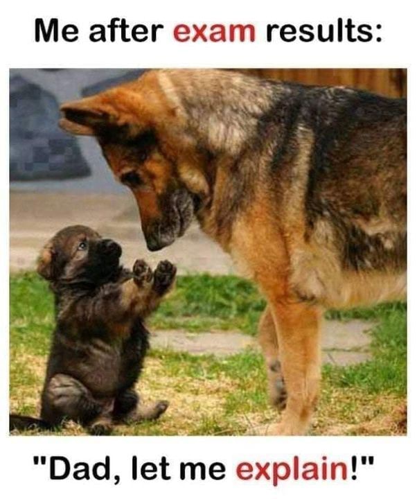 Me after exam results: "Dad, let me explain!" - America’s best pics and ...