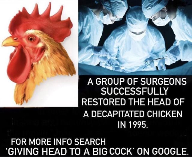 A GROUP OF SURGEONS SUCCESSFULLY RESTORED THE HEAD OF A DECAPITATED ...