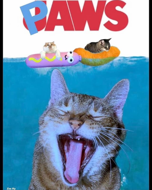Hear me out jaws but with cats Graphic Made by Jim hy fb ...