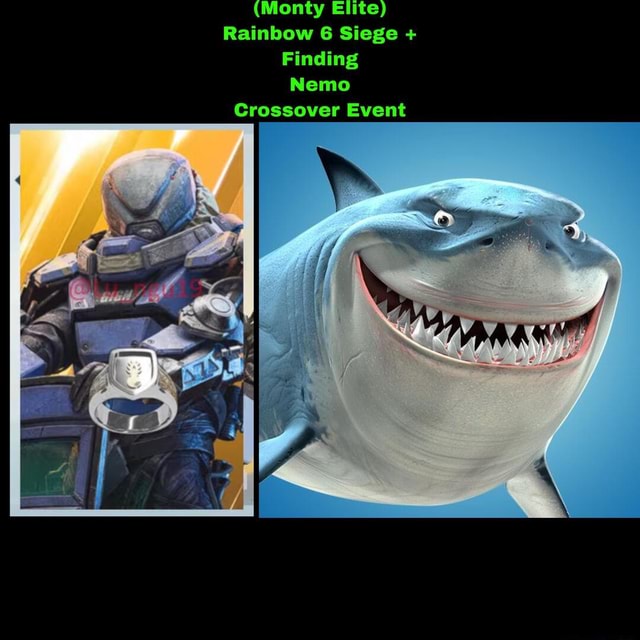 Monty Elite Rainbow 6 Siege + Finding Nemo Crossover Event - iFunny
