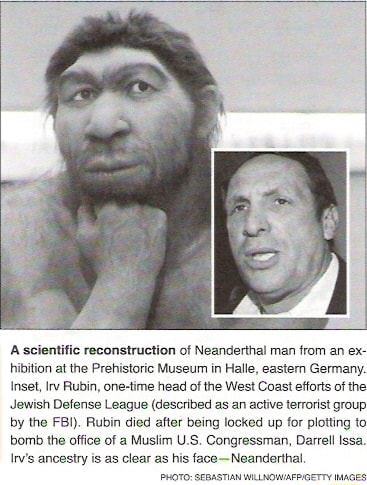 A scientific reconstruction of Neanderthal man from an ex- hibition at ...
