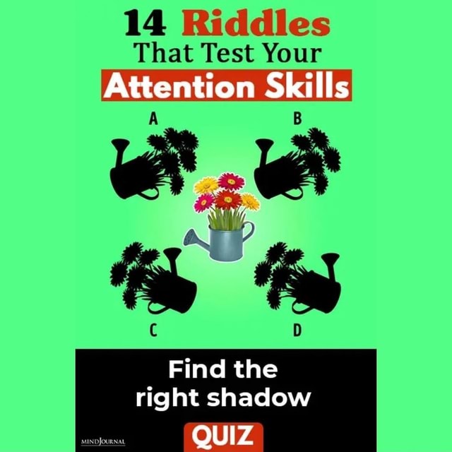 14 Riddles That Test Your Attention Skills Find the right shadow ...