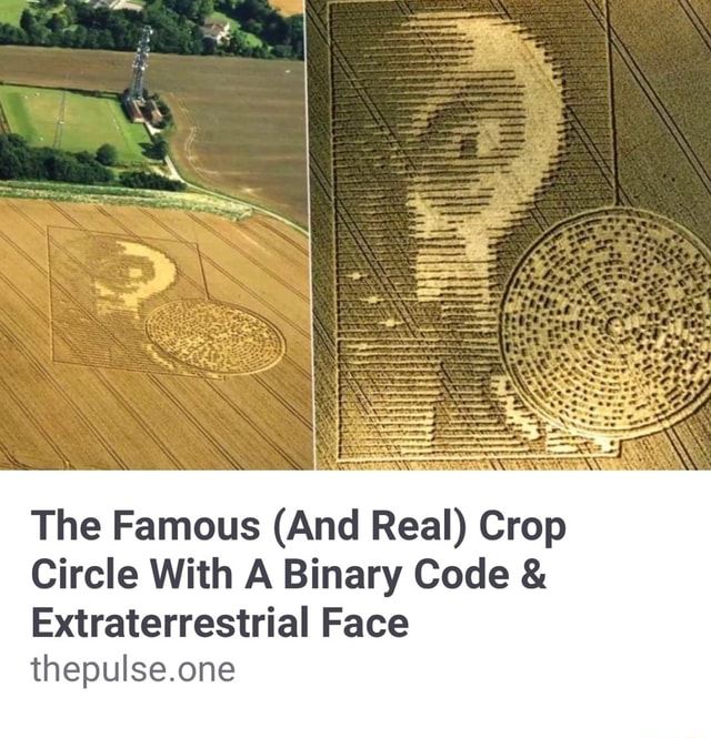 The Famous (And Real) Crop Circle With A Binary Code & Extraterrestrial ...