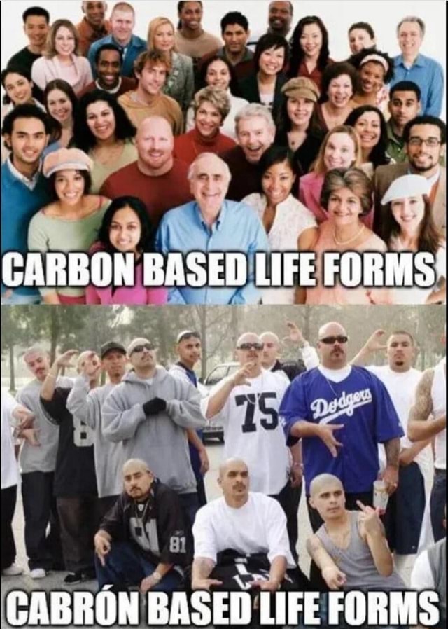 CARBON BASED LIFE FORMS: CABRON BASED LIFE FORMS - iFunny