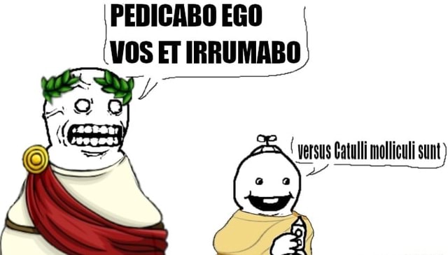PEDICABO EGO VOS ET IRRUMABO I yersus Catulimollcul sun (os) - iFunny