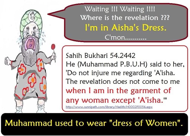 Where is the revelation I'm in Aisha's Dress. Sahih Bukhari 54.2442 He ...