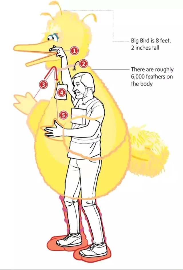 Big Bird Is 8 Feet 2 Inches Tall There Are Roughly 6 000 Feathers On