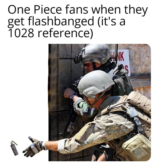 One Piece fans when they get flashbanged (it's a 1028 reference) - iFunny