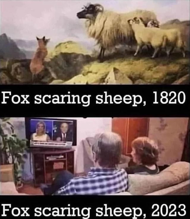 Cay Fox scaring sheep, 1820 Fox scaring sheep, 2023 - iFunny