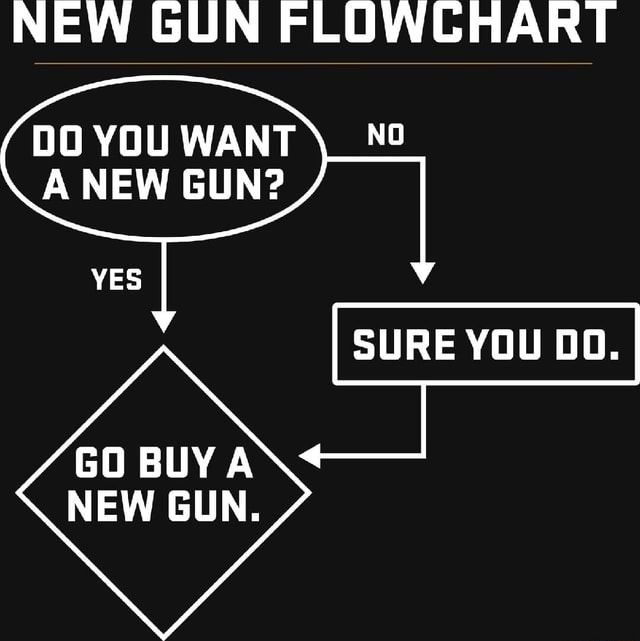 NEW GUN FLOWCHART DO YOU WANT A NEW GUN? YES SURE YOU DO. GO BUYA NEW ...