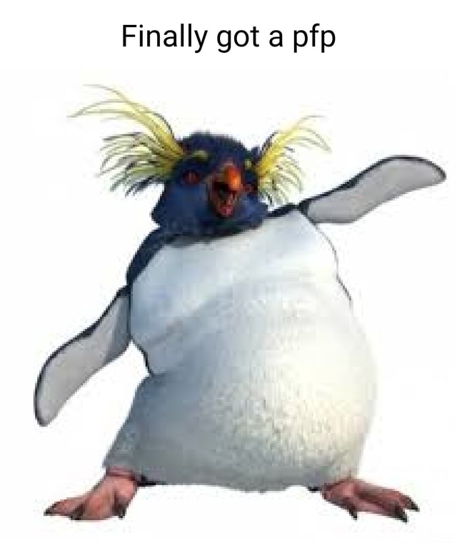 Finally got a pfp - iFunny