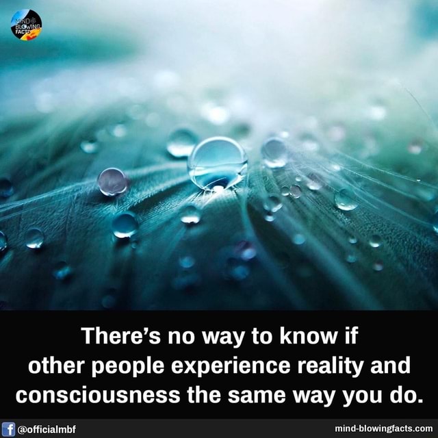 There's no way to know if other people experience reality and ...
