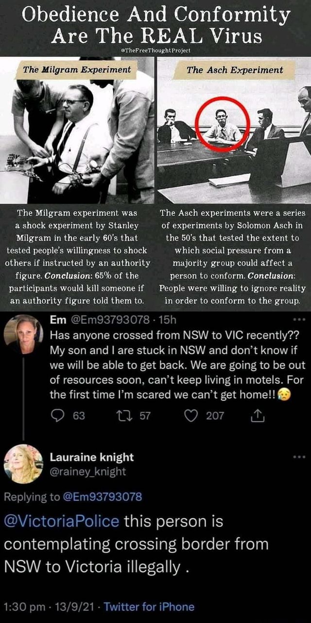 Obedience And Conformity Are The REAL Virus The Milgram Experiment The ...