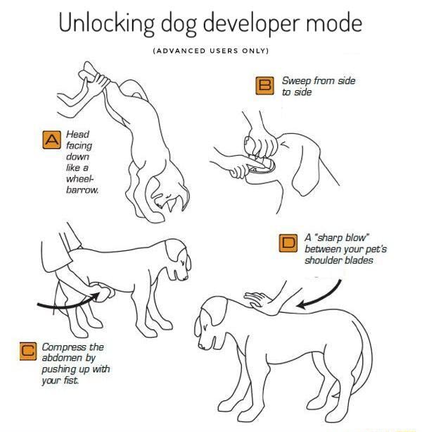 Unlocking dog developer mode (ADVANCED USERS ONLY) 'Sweep from side A ...
