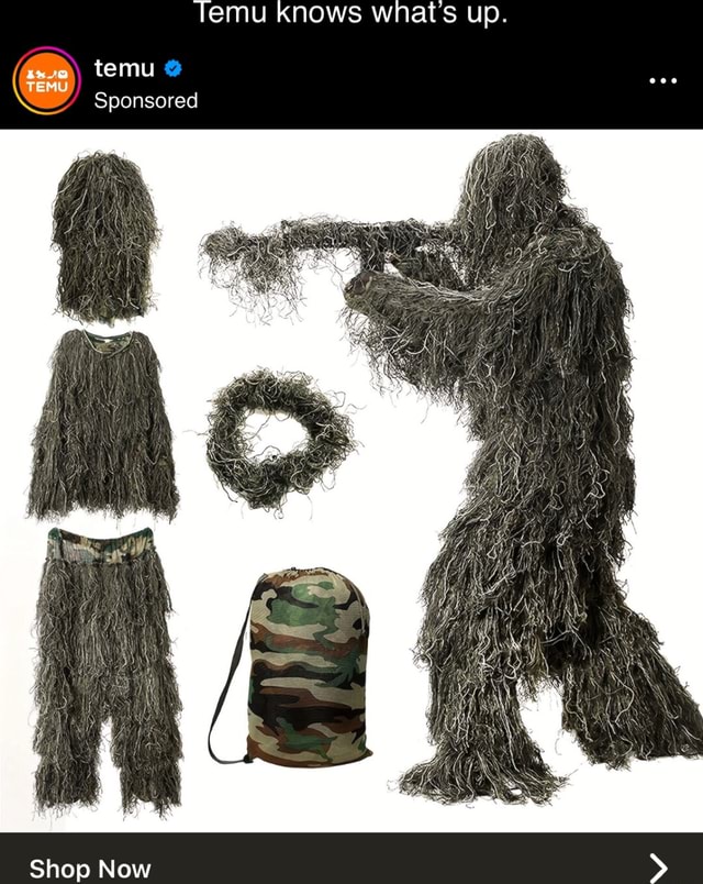 Temu Knows whats up. temu TEMU Sponsored Shop Now - iFunny