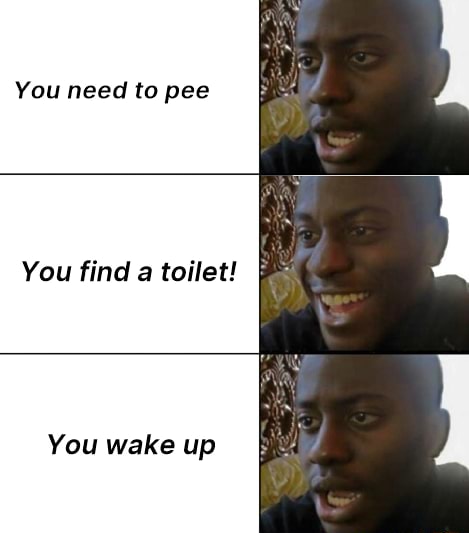 You need to pee You find a toilet! You wake up - iFunny