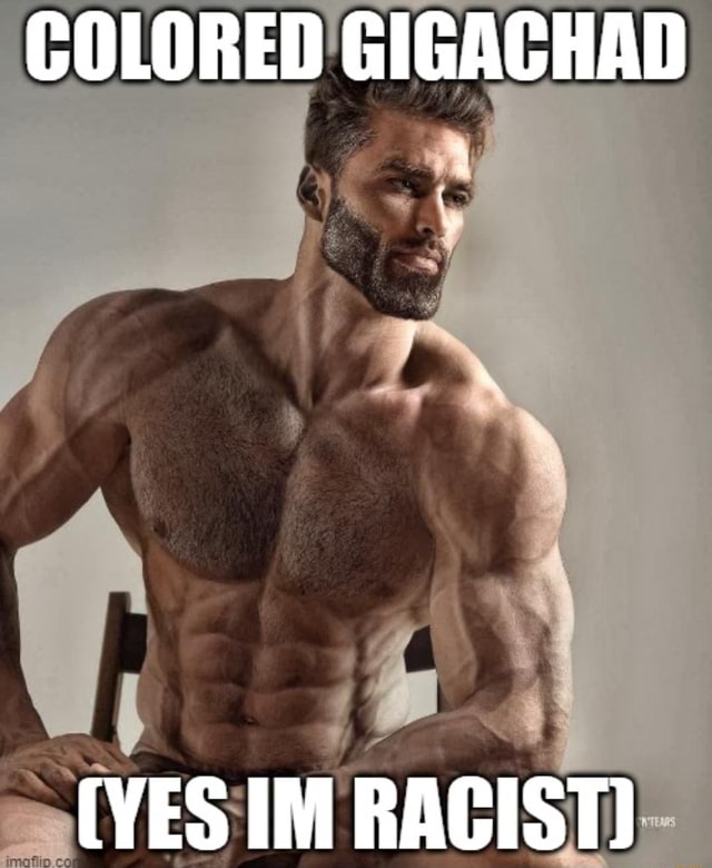 COLORED GIGACHAD (YES IM RAGIST) - iFunny