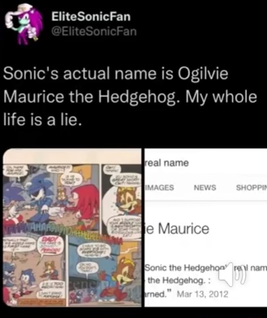 Sonic's actual name is Ogilvie Maurice the Hedgehog. My whole life is a ...